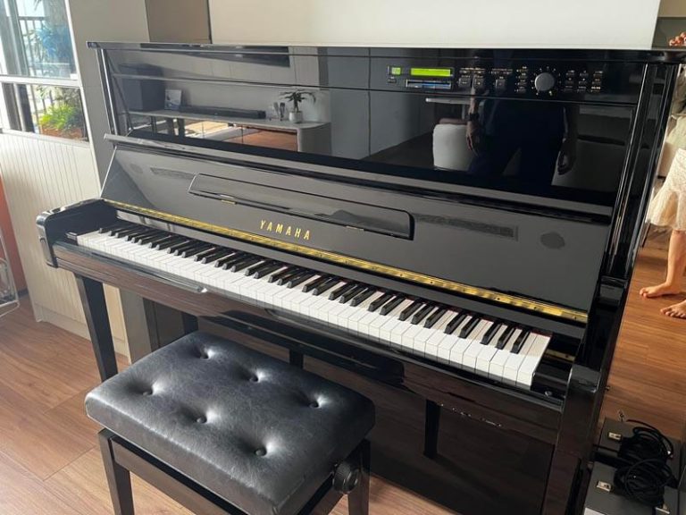 PIANO ROYAL | Nhà Cung Cấp Đàn Piano Nhập Khẩu Nhật Bản Chính Hãng