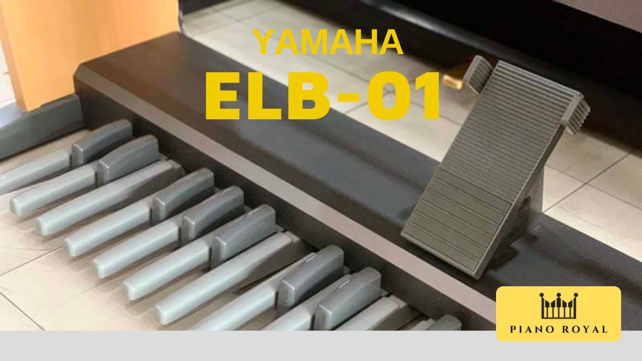 Tìm hiểu Electone Yamaha ELB-01