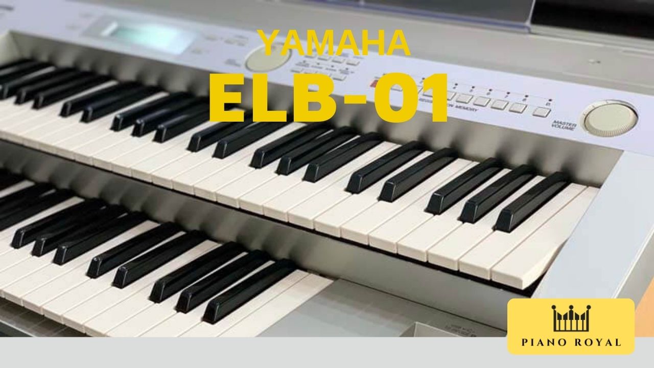 Tìm hiểu Electone Yamaha ELB-01