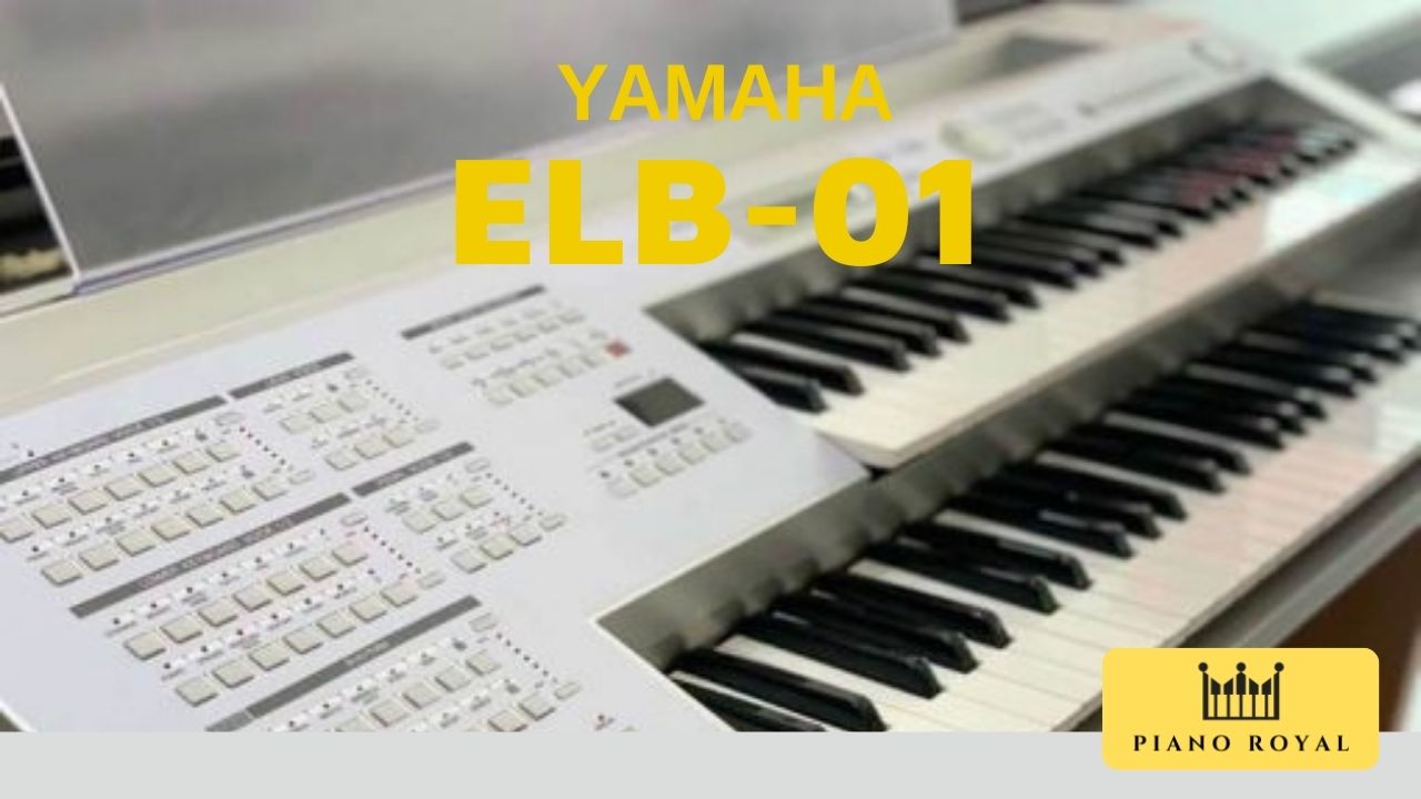 Tìm hiểu Electone Yamaha ELB-01