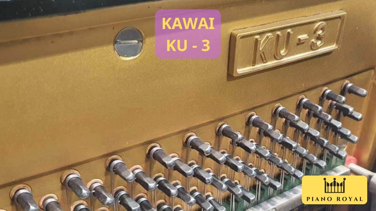 Khám Phá Vẻ Đẹp Và Sức Mạnh Của Kawai KU3