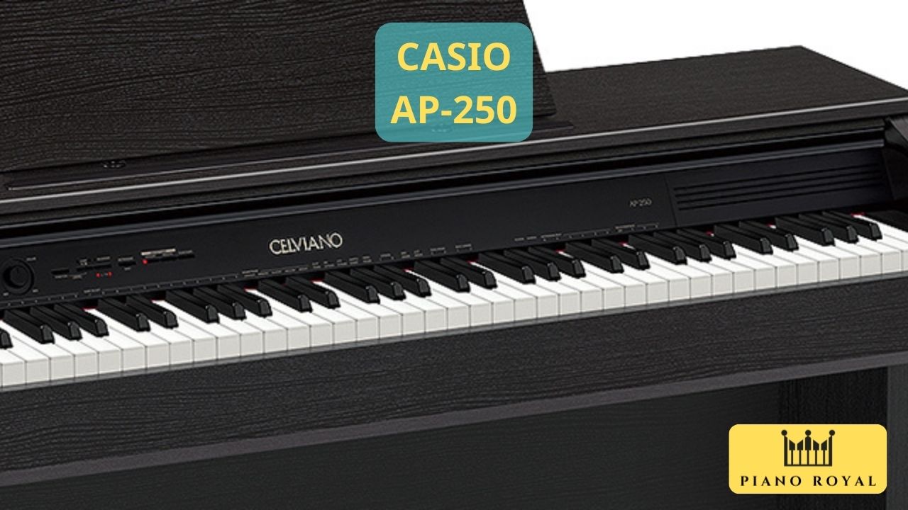 Cùng nhau tiếp cận Casio AP-250