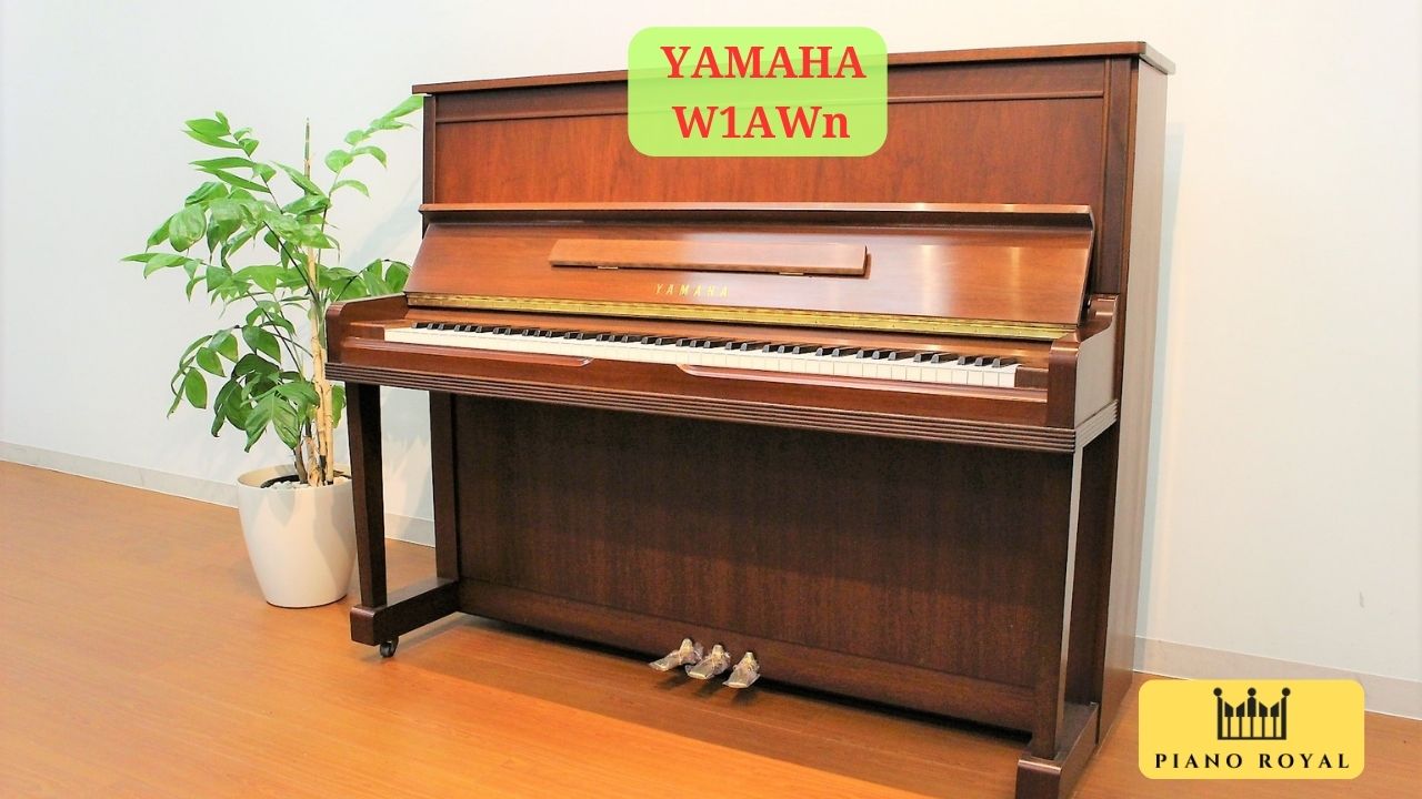 Yamaha W1AWn Sang Trọng và Tinh Tế