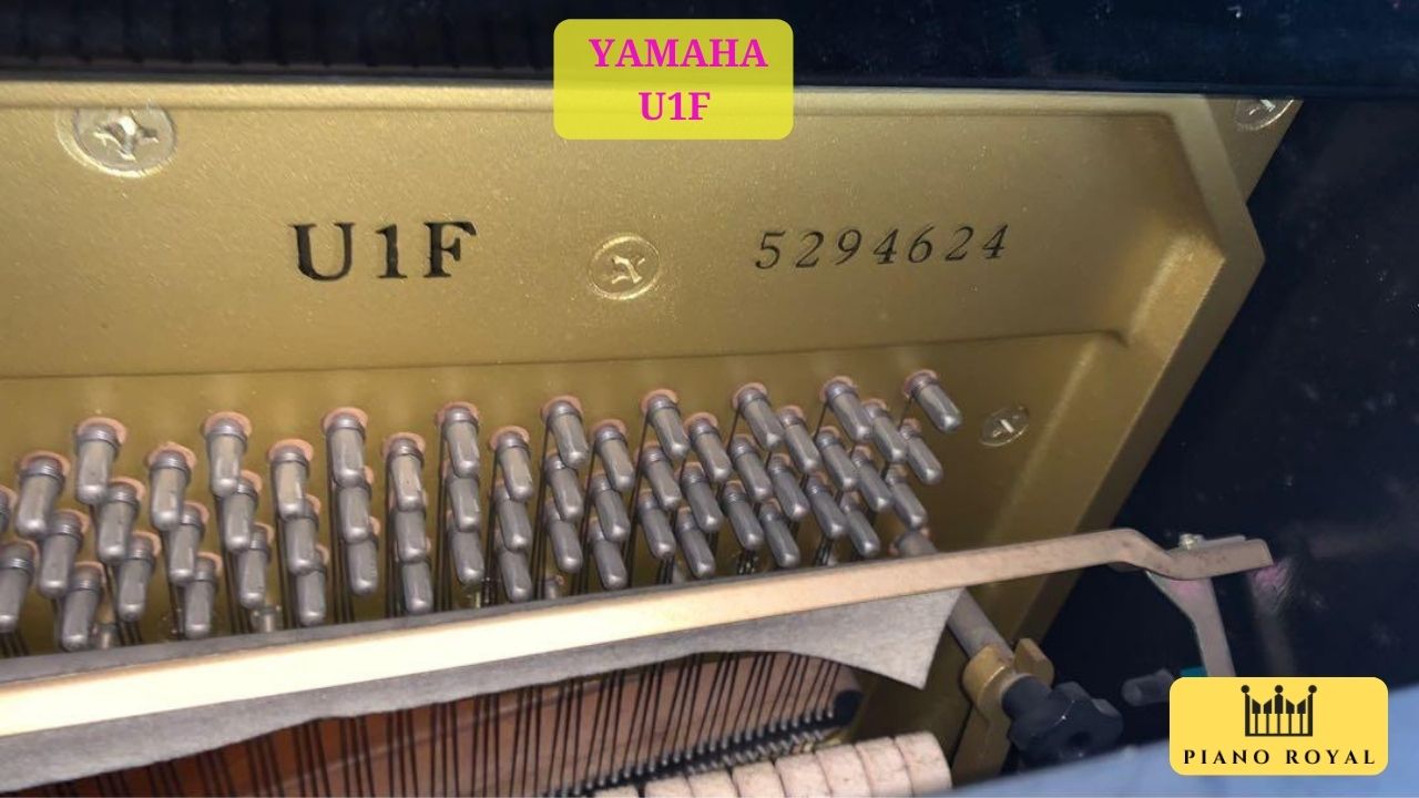 Yamaha U1F: Piano Dành Cho Người Mới Bắt Đầu