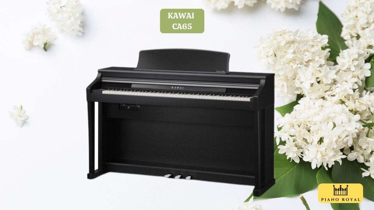 Kawai CA65: Đỉnh Cao Nghệ Thuật Âm Nhạc Kỹ Thuật Số