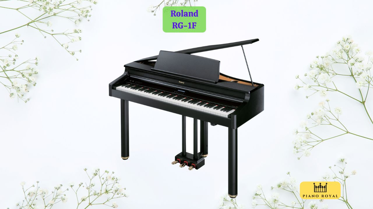 Roland RG-1F và những lý do đáng để bạn đầu tư